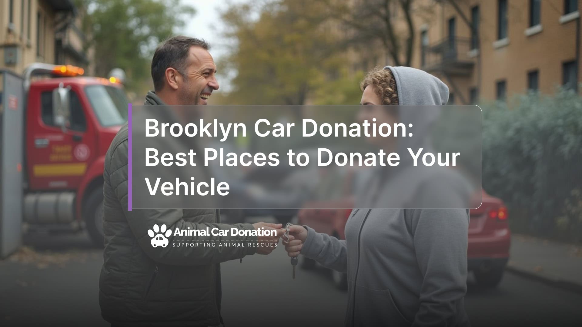 Brooklyn Car Donation Program Benefiting Animal Rescues