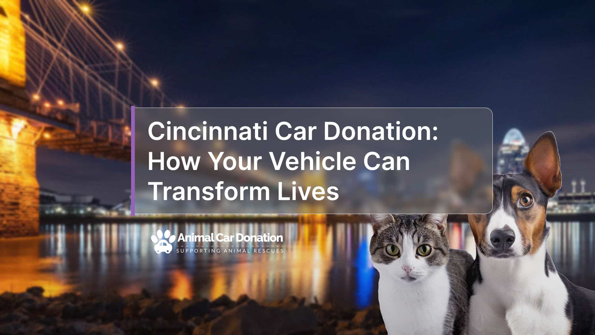 Cincinnati Car Donation Program Benefiting Animal Rescues