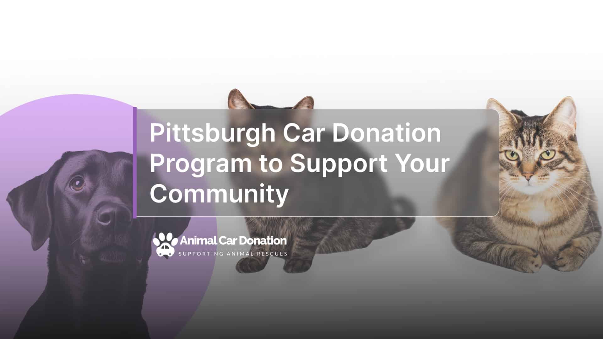 Pittsburgh Car Donation Program Benefiting Animal Rescues