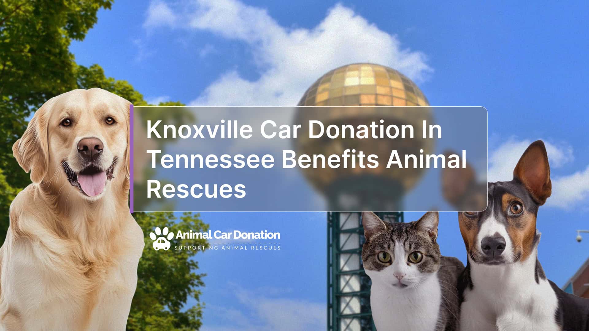 Knoxville Car Donation In Tennessee Benefits Animal Rescues - Animal ...