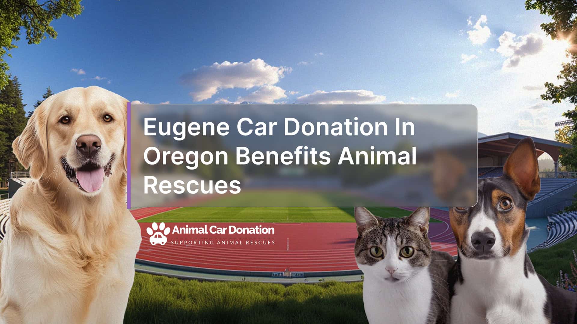 Eugene Car Donation In Oregon Benefits Animal Rescues - Animal Car Donation