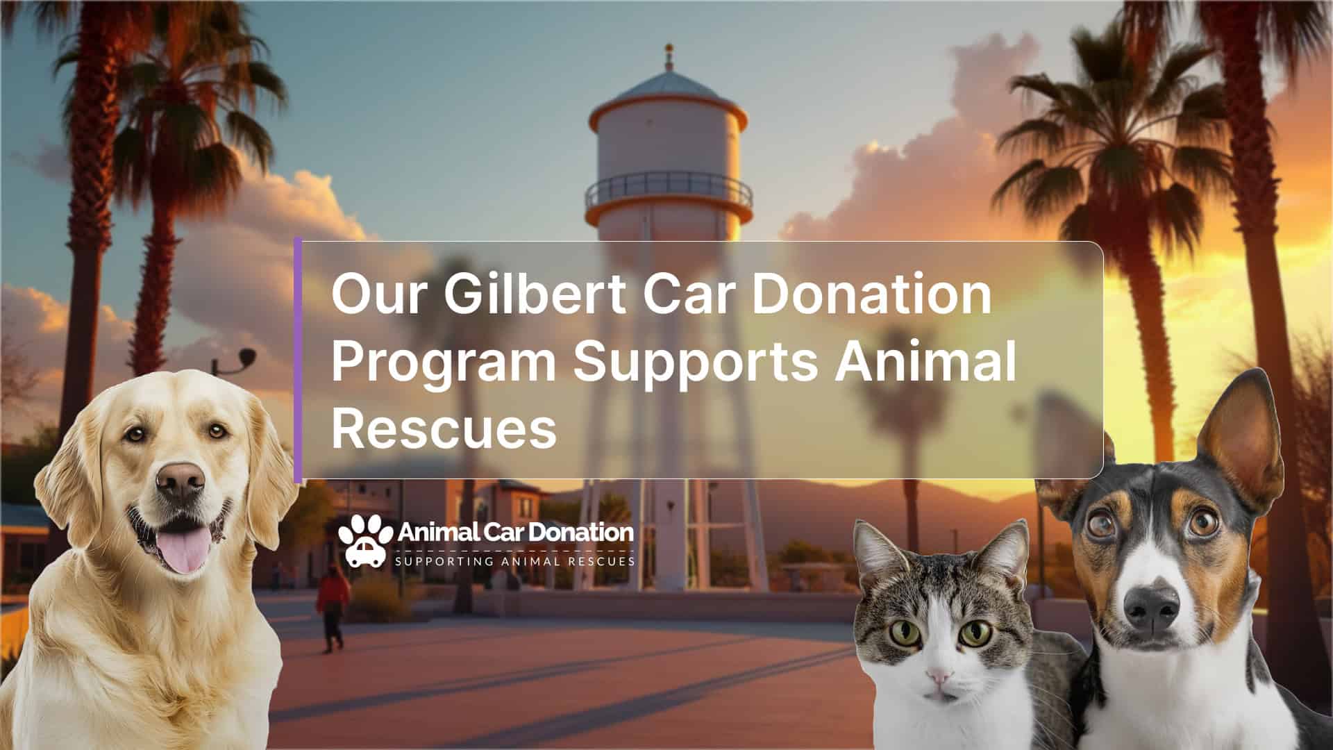 Our Gilbert Car Donation Program Supports Animal Rescues
