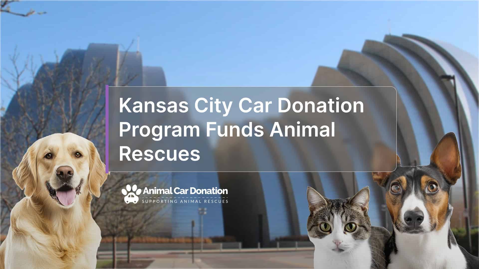 Kansas City Car Donation Program Funds Animal Rescues - Animal Car Donation