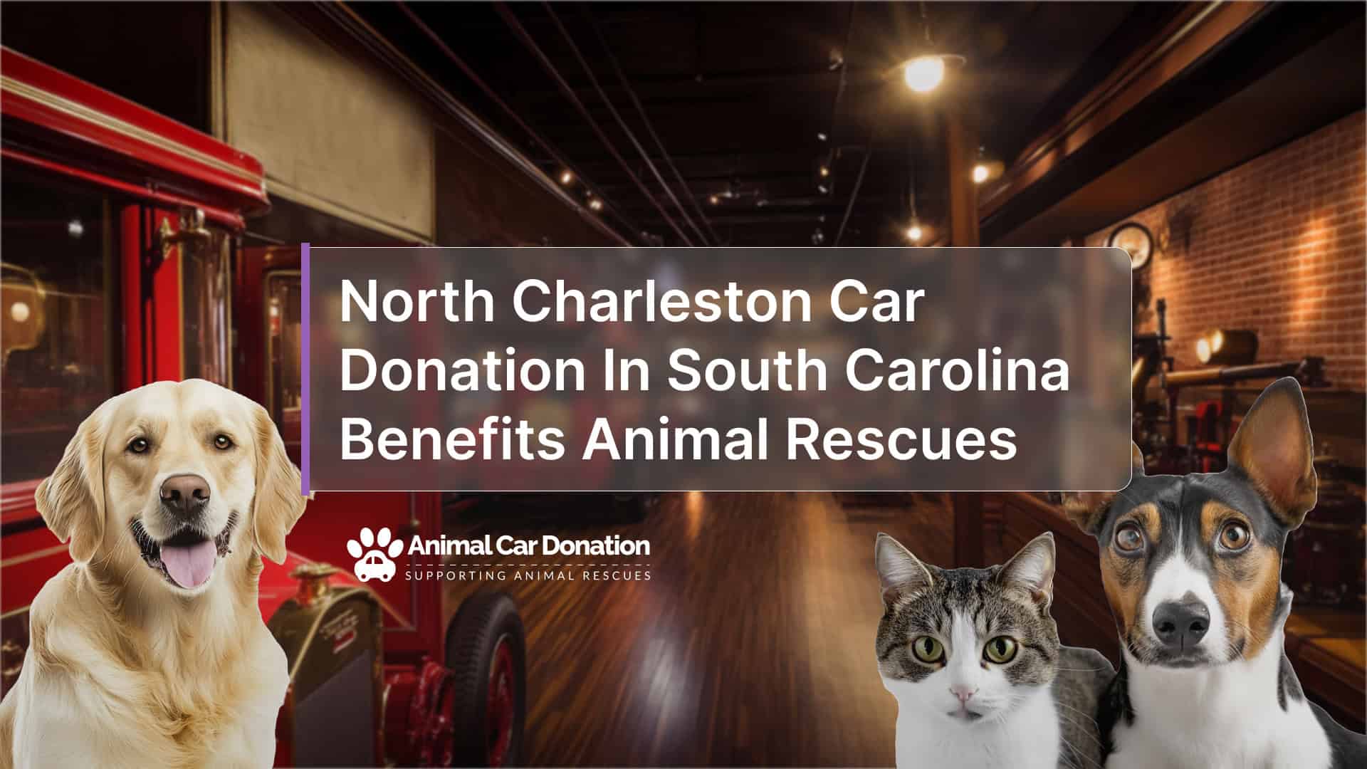 North Charleston Car Donation In South Carolina Benefits Animal Rescues ...