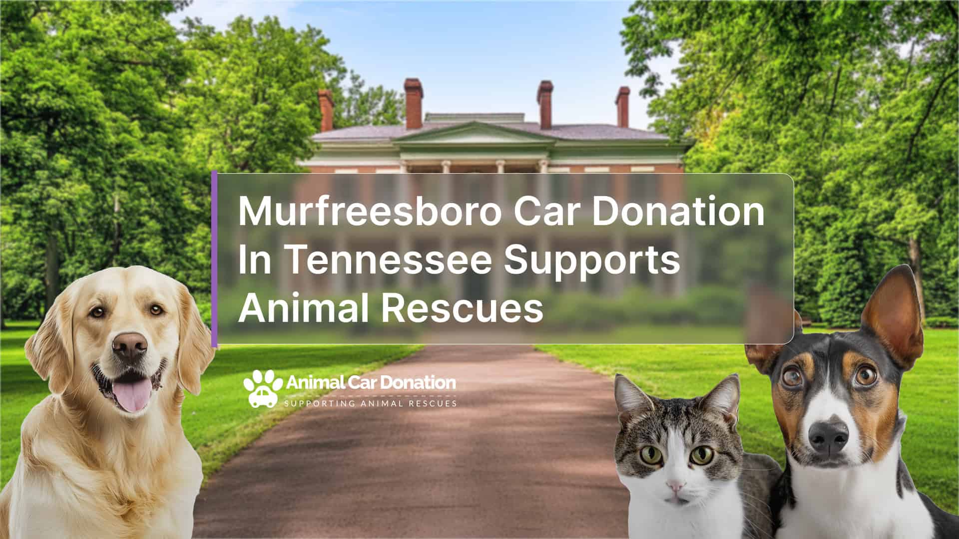 Murfreesboro Car Donation In Tennessee Benefits Animals