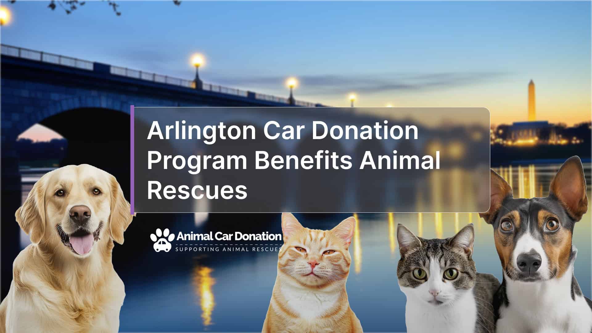 Arlington Car Donation Program Benefits Animal Rescues