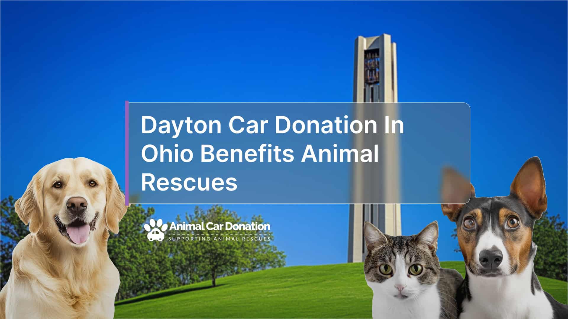 Dayton Car Donation In Ohio Benefits Animal Rescues - Animal Car Donation