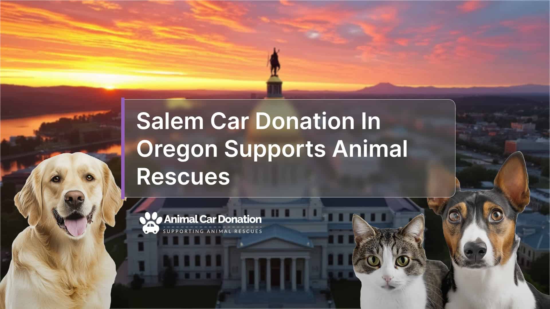 Salem Car Donation In Oregon Supports Animal Rescues - Animal Car Donation