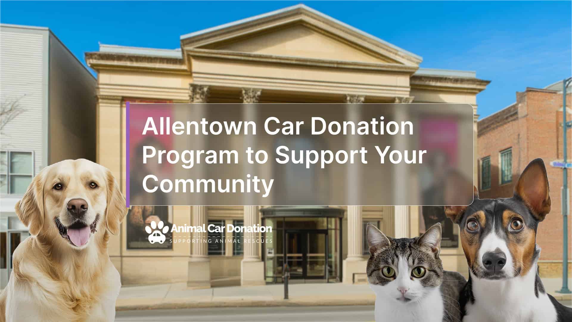 Allentown Car Donation Program to Support Your Community - Animal Car ...