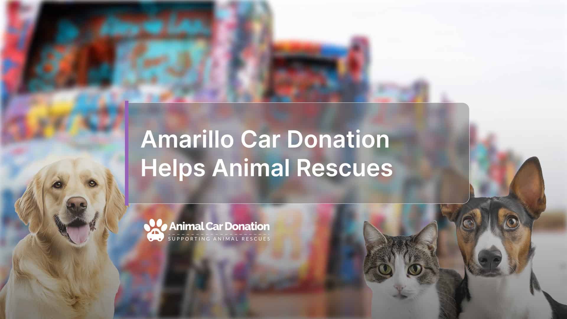 Amarillo Car Donation In Texas Supports Animal Rescues