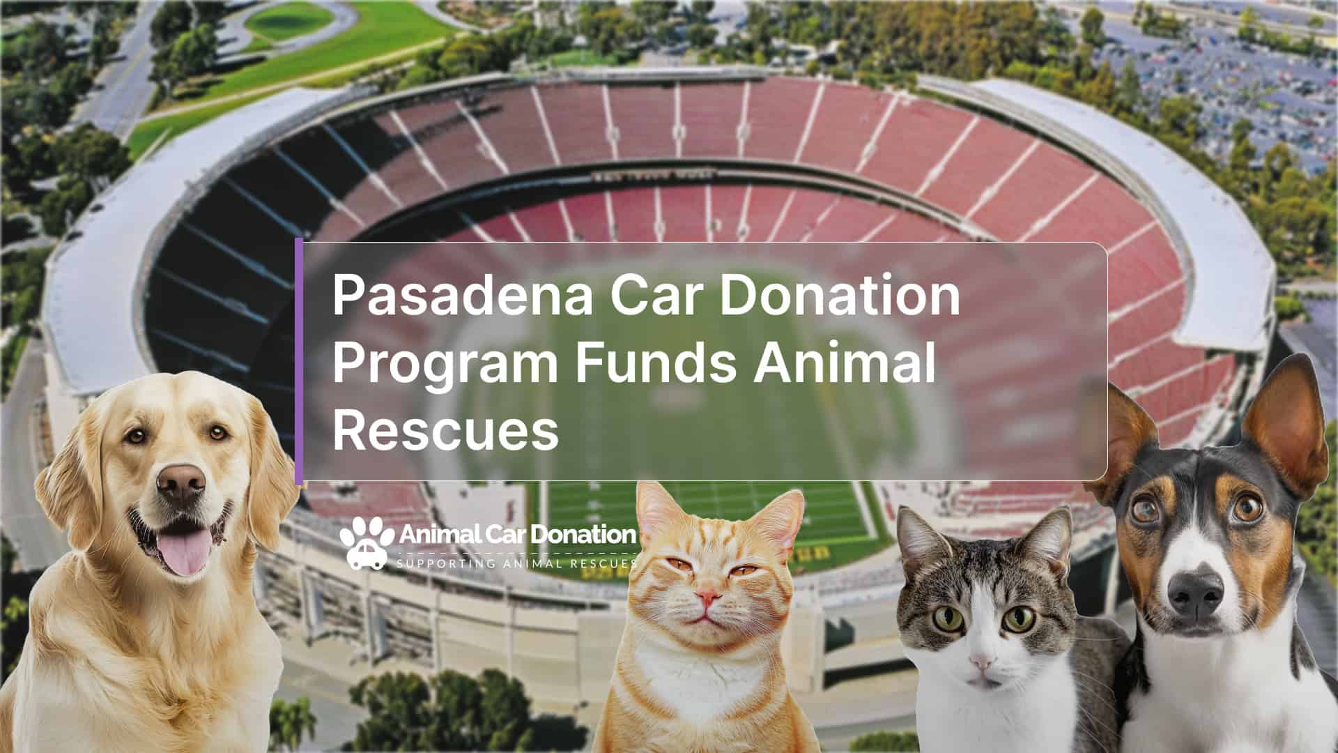 Pasadena Car Donation Program in CA Funds Animal Rescues