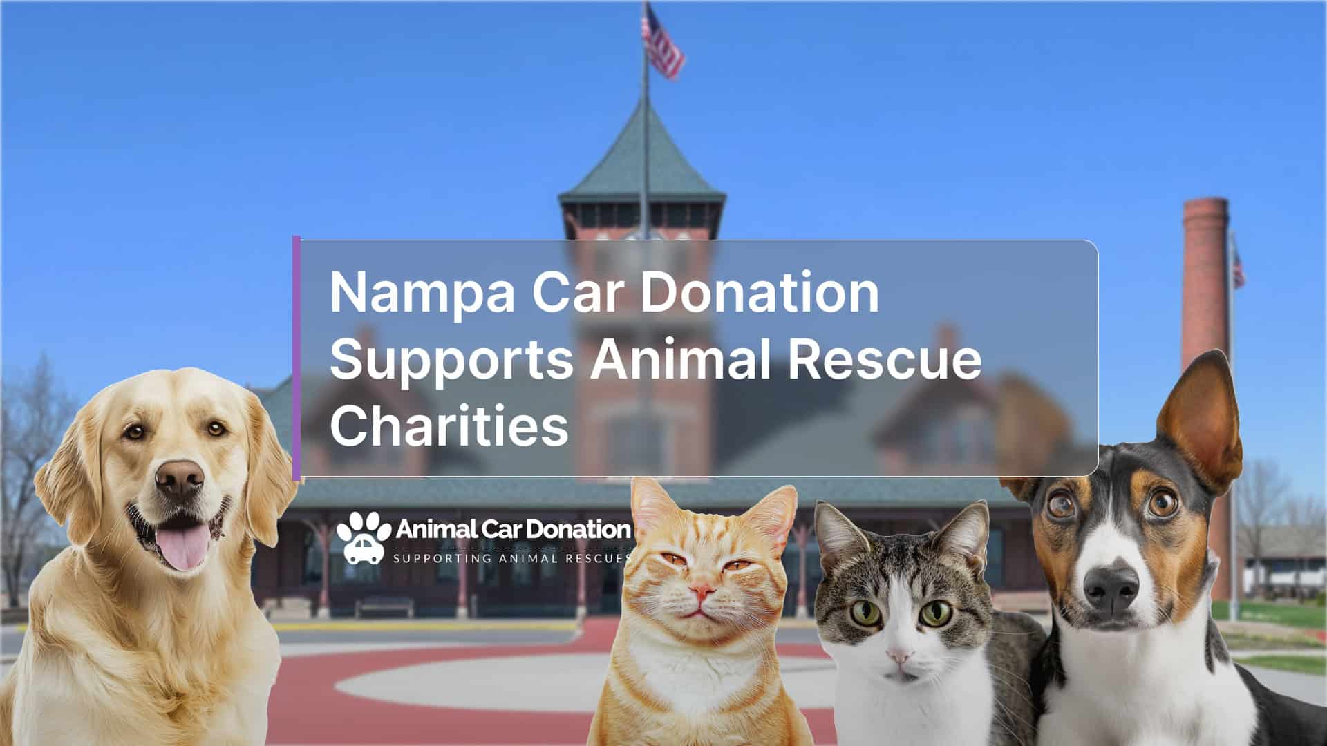 Nampa Car Donation In Idaho Supports Animal Rescue Charity
