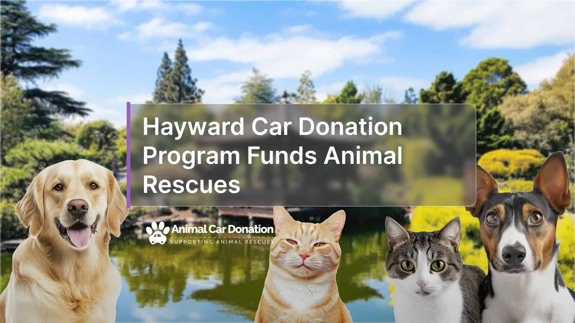 Hayward Car Donation Program In CA Funds Animal Rescues