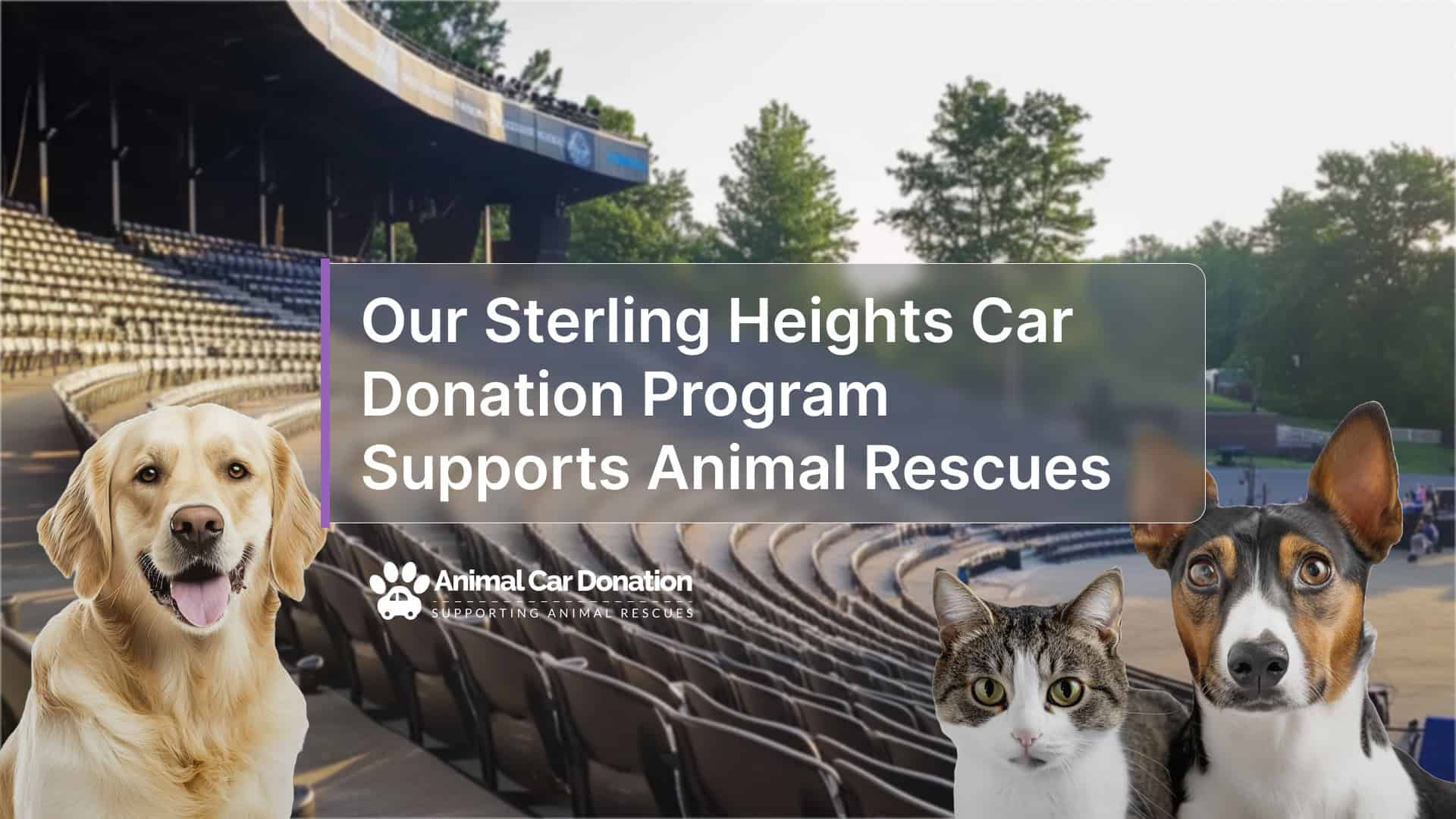 Sterling Heights Car Donation Program Funds Animal Rescues