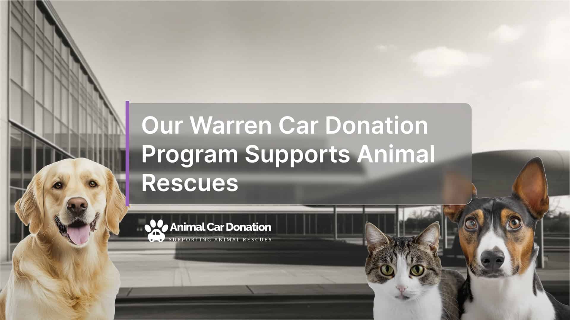 Our Warren Car Donation Program Supports Animal Rescues - Animal Car ...