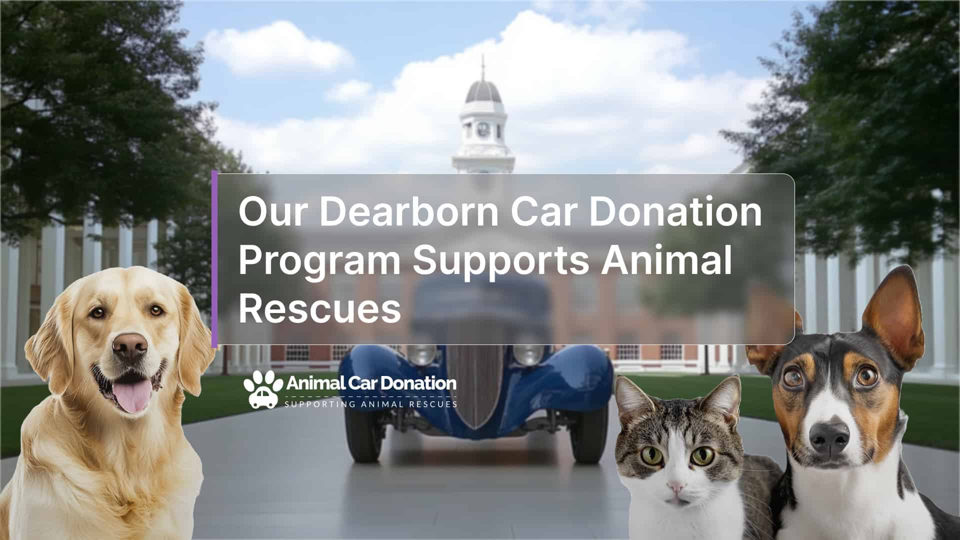 Dearborn Car Donation Helps Rescue Animals In Need Of Care