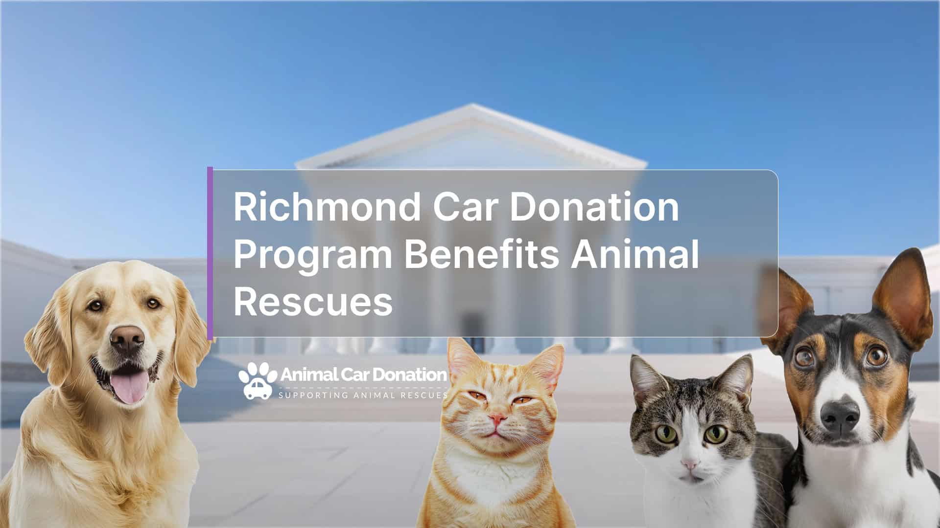 Richmond Car Donation In NC Supports Animal Rescue Charity