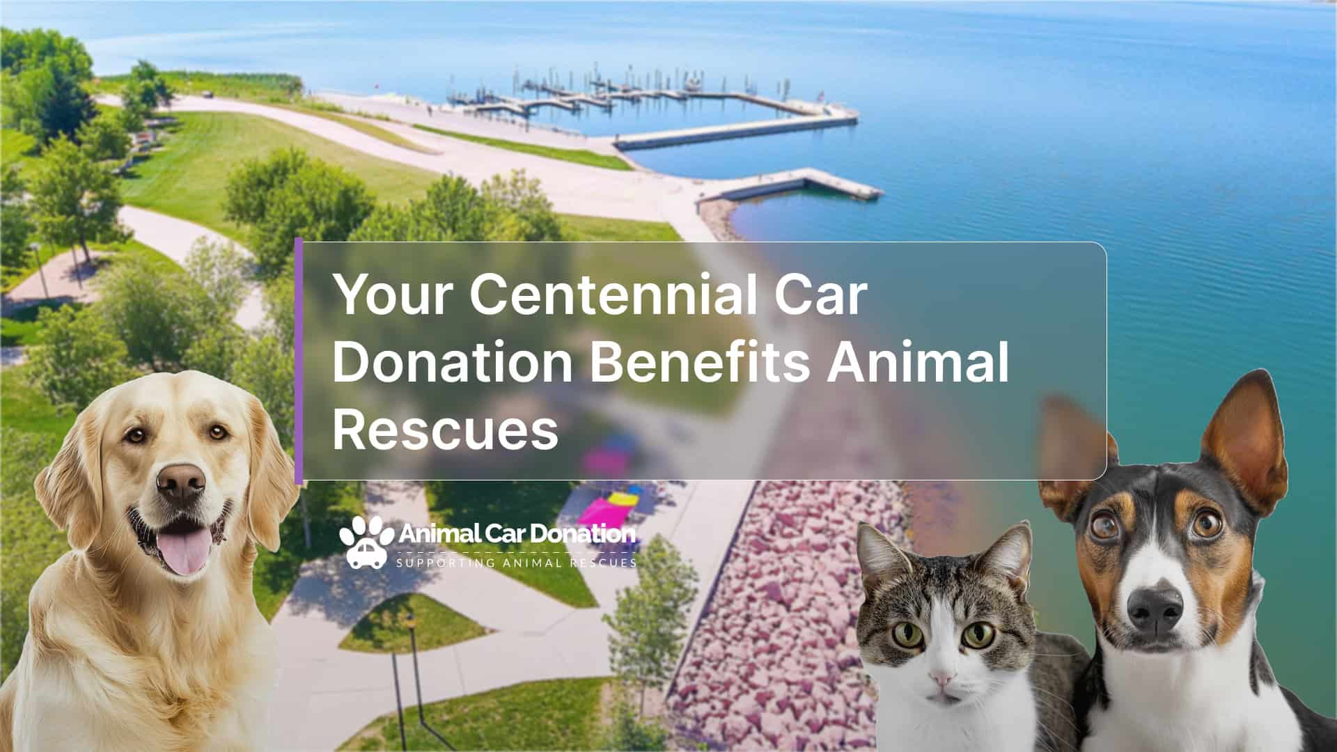 Your Centennial Car Donation In CO Benefits Animal Rescues