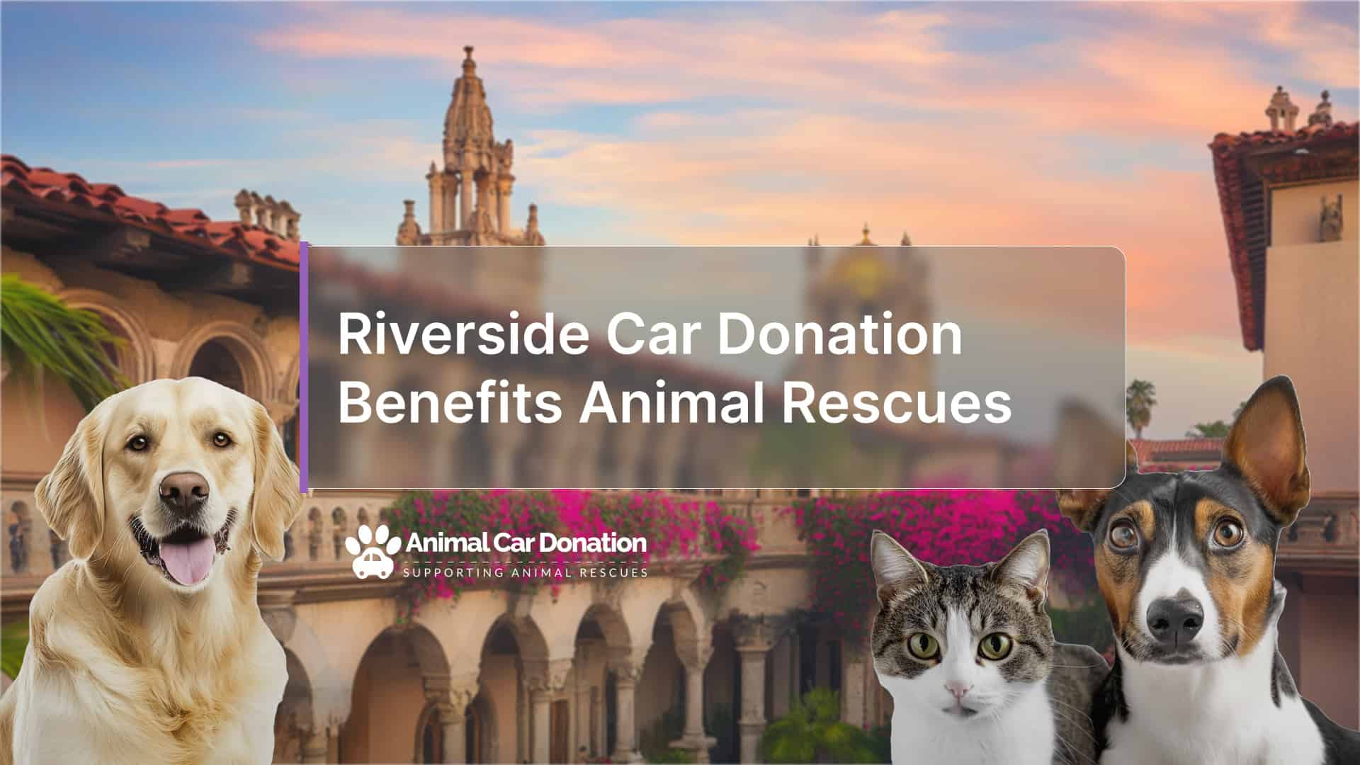 Riverside Car Donation In California Benefits Animal Rescues