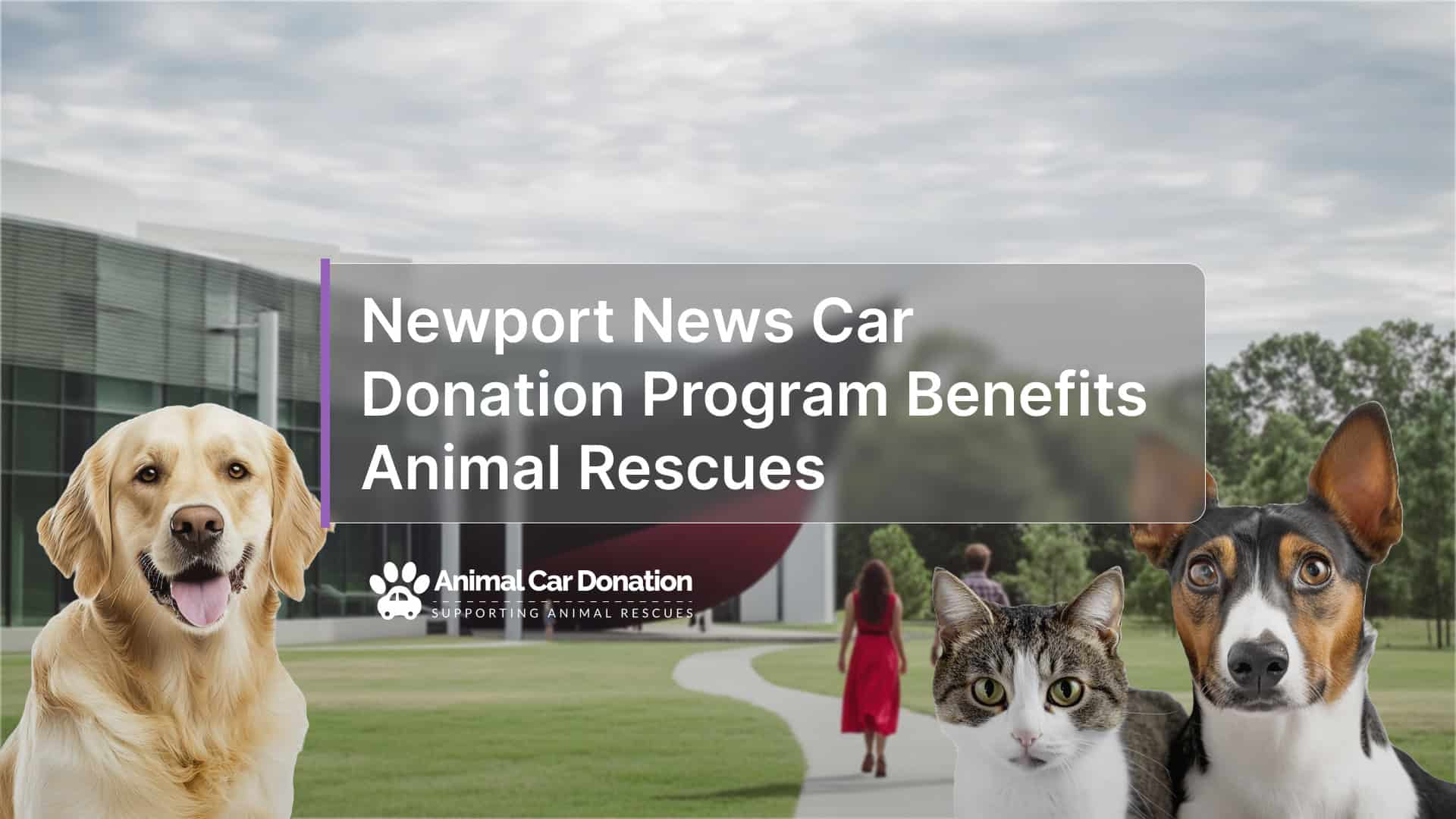 Newport News Car Donation Program Benefits Animal Rescues