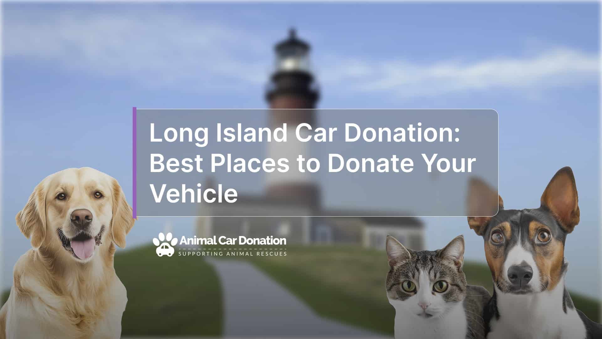 Long Island Car Donation: Best Places to Donate Your Vehicle - Animal ...