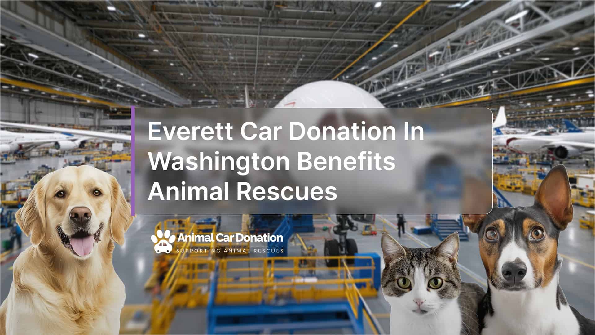 Everett Car Donation In Washington Benefits Animal Rescues