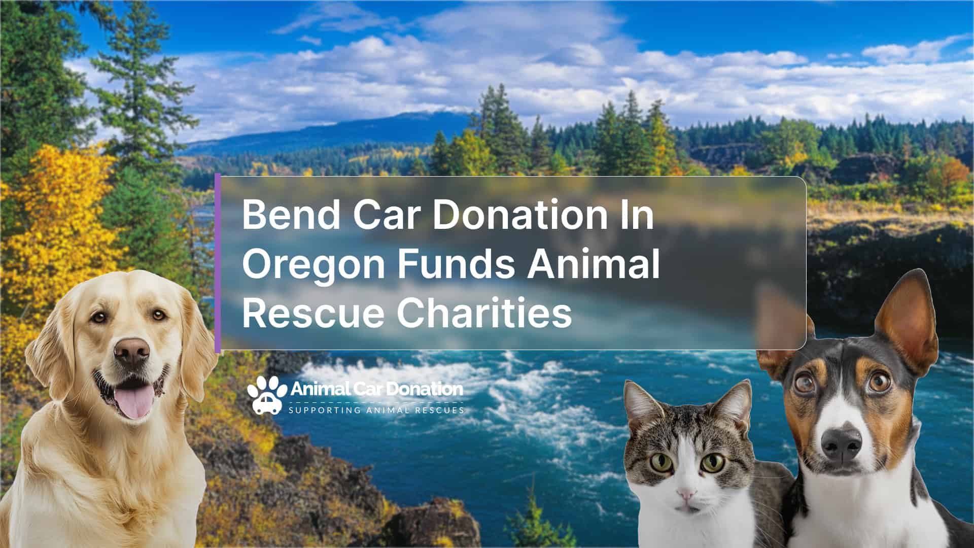 Bend Car Donation In Oregon Funds Animal Rescue Charities