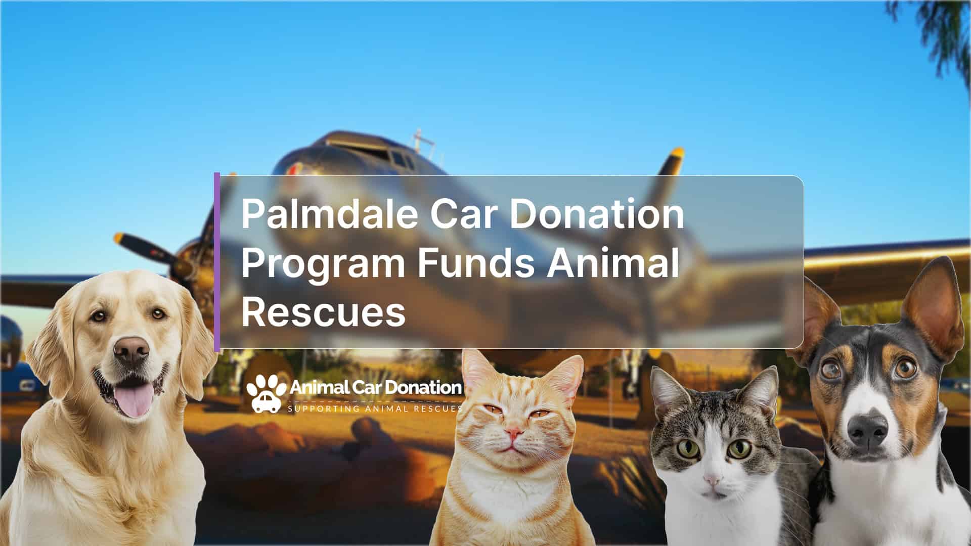 Palmdale Car Donation In CA Program Funds Animal Rescues
