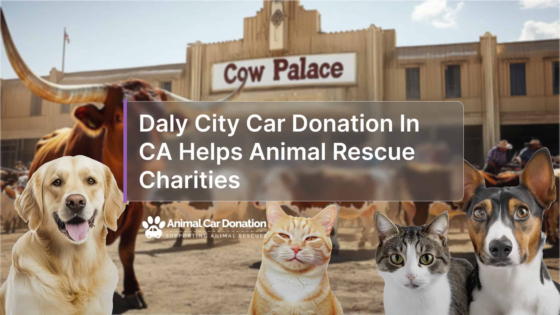 Daly City Car Donation In CA Helps Animal Rescue Charities