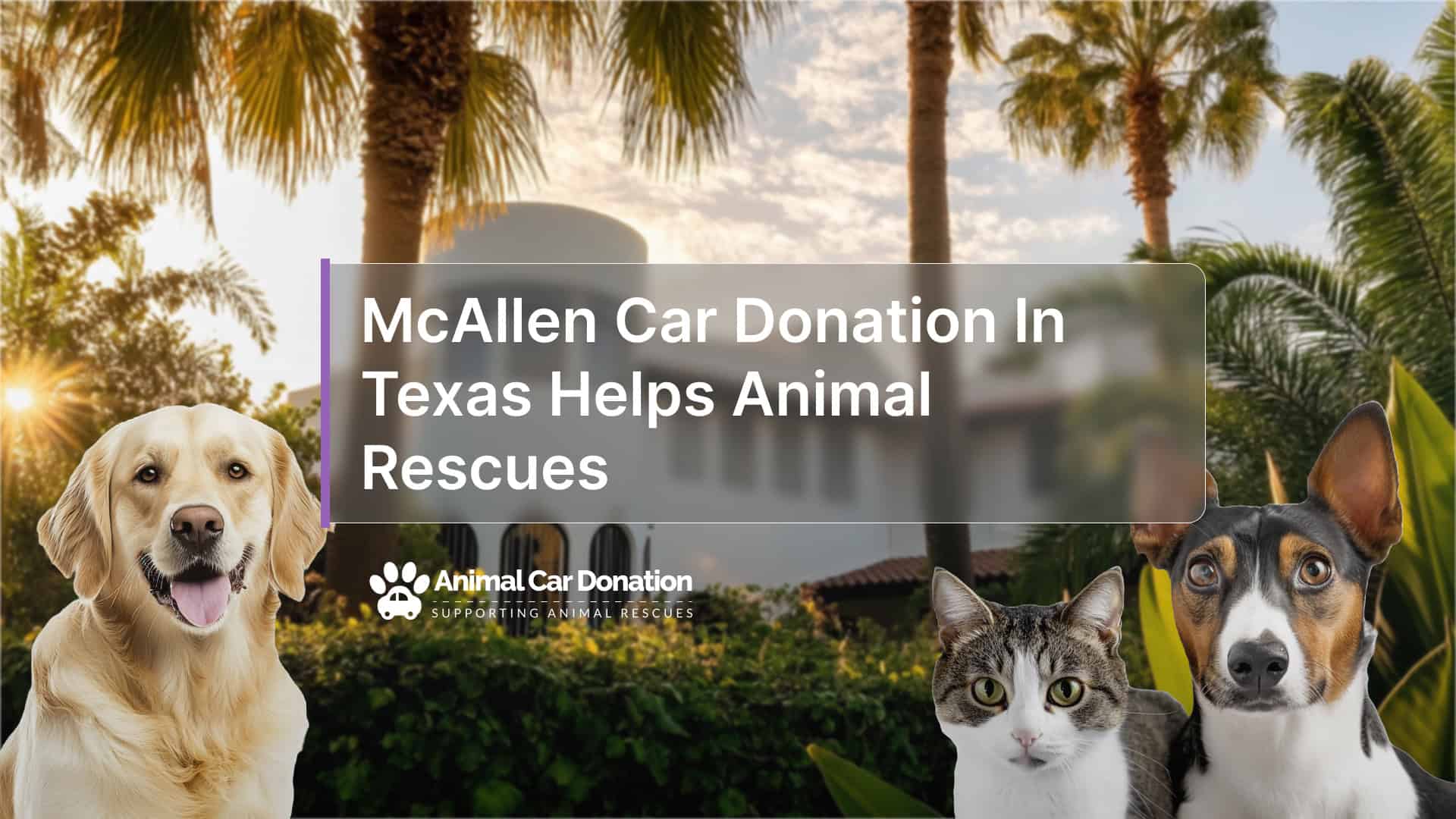McAllen Car Donation In Texas Helps Animal Rescue Charities
