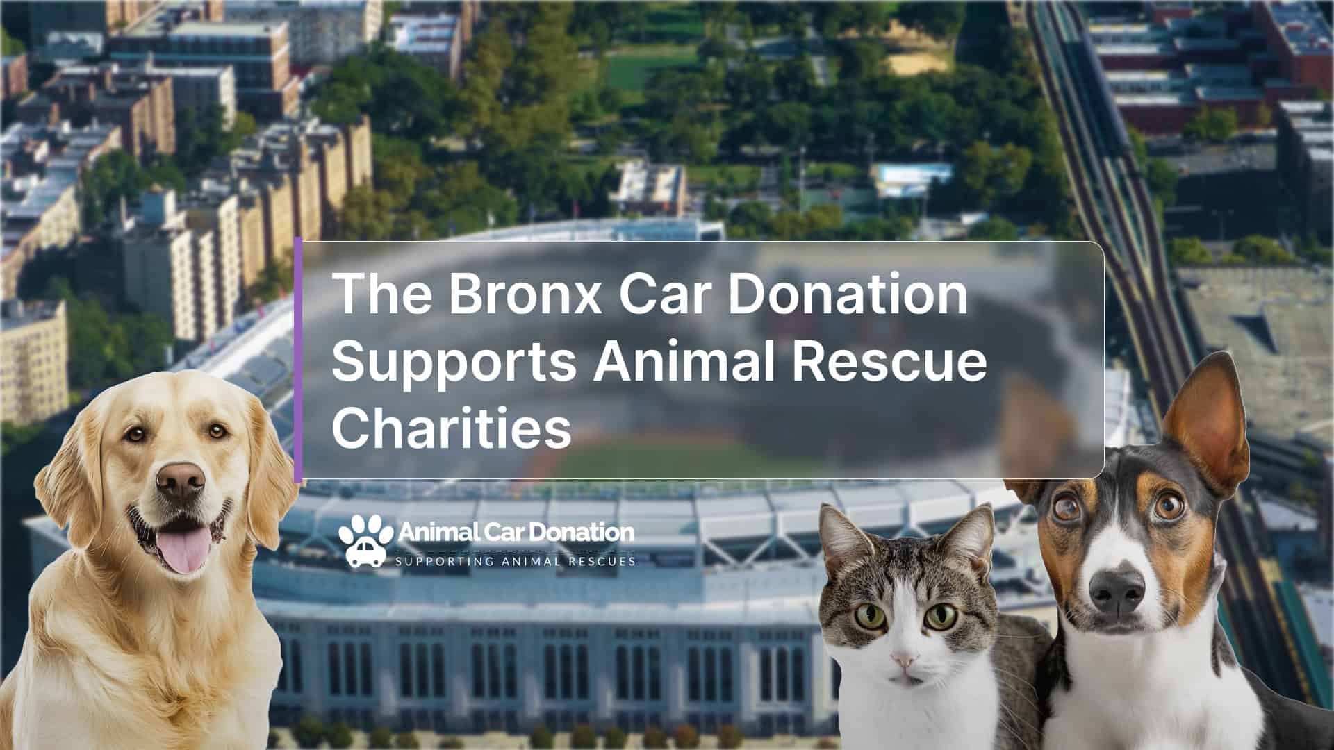 Donate A Car In The Bronx To Benefit New York Rescue Animals