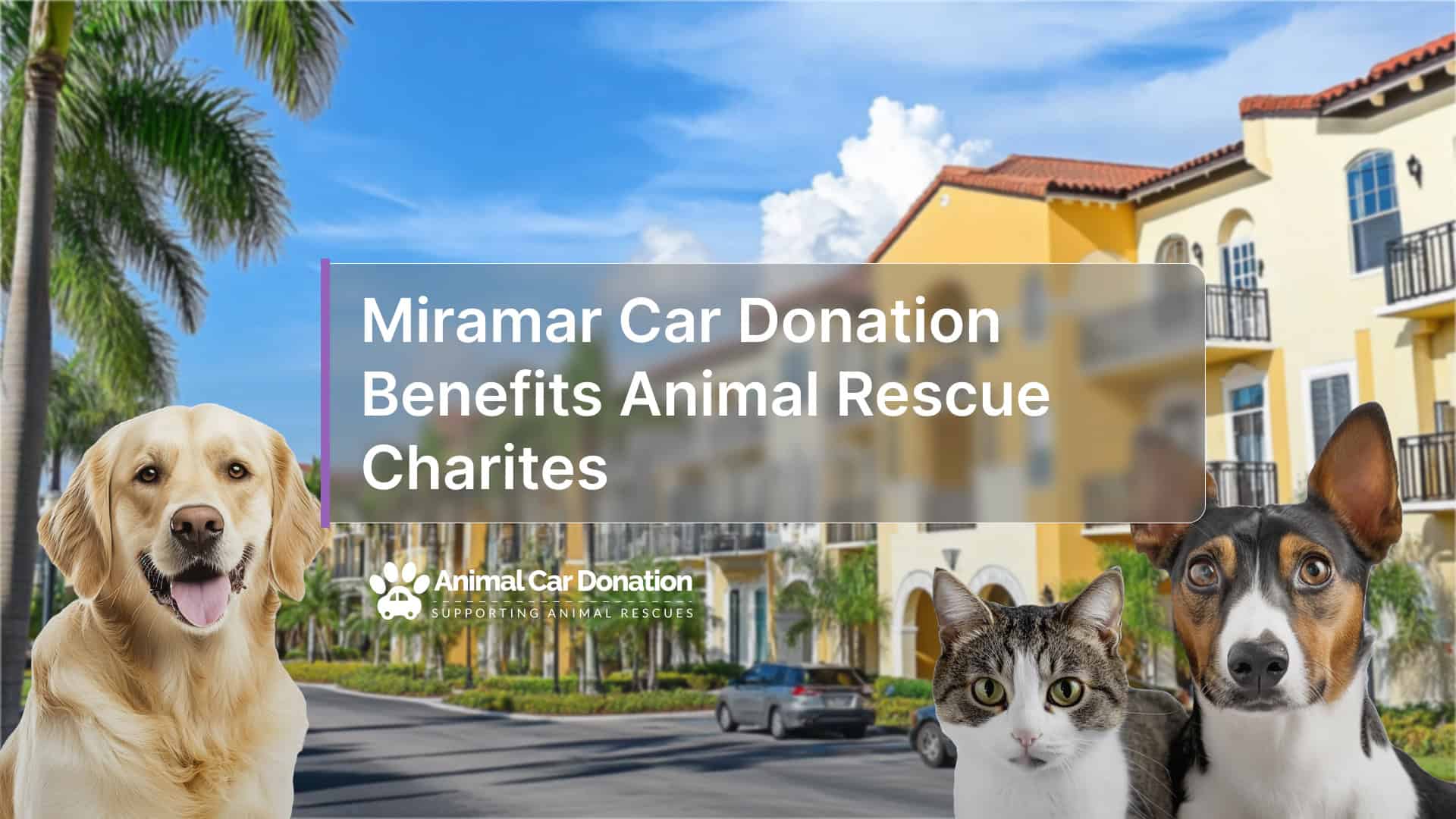 Miramar Car Donation Makes Life Easier For Rescue Dogs & Cats