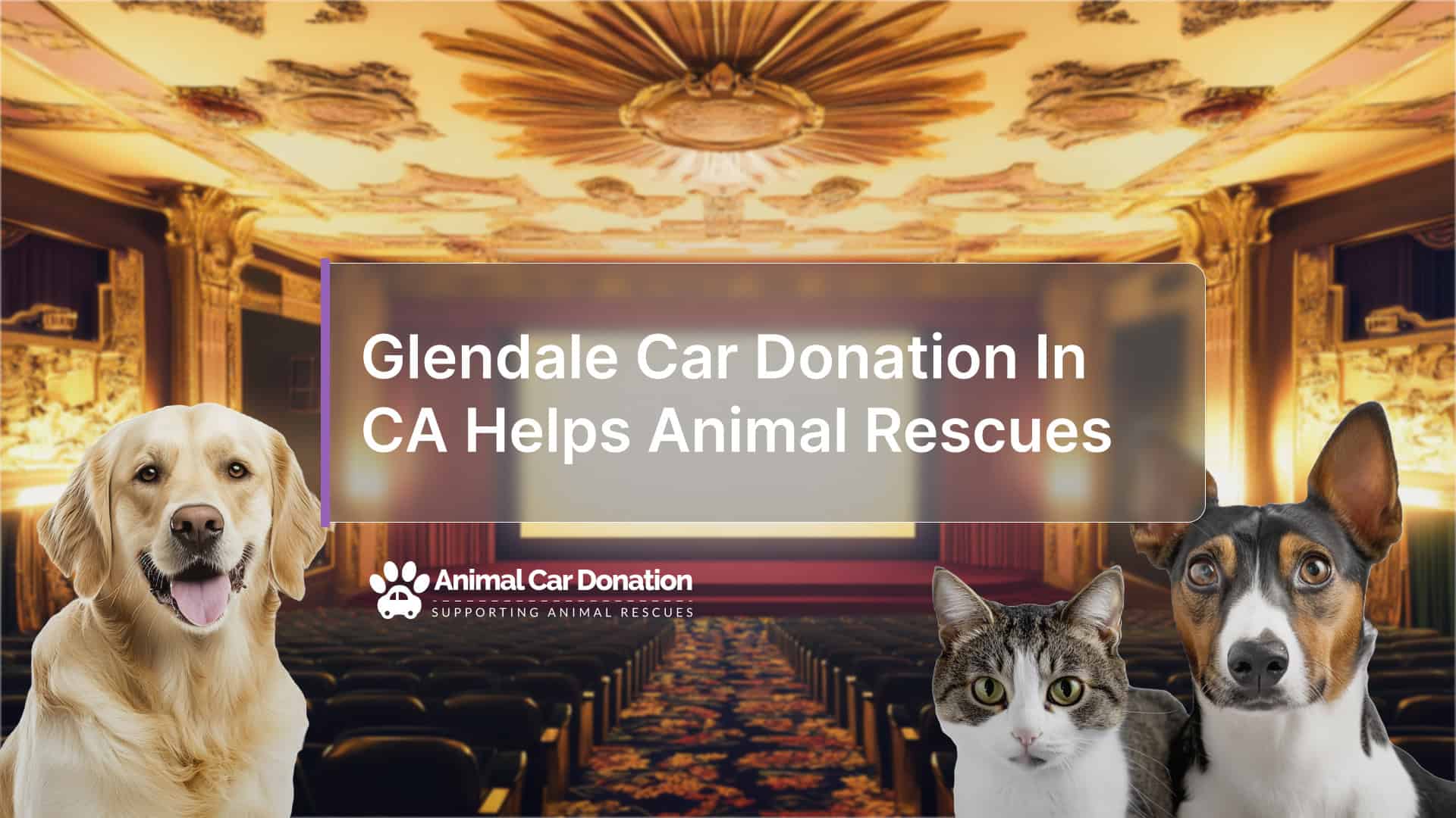 Glendale Car Donation In CA Helps Animal Rescues - Animal Car Donation