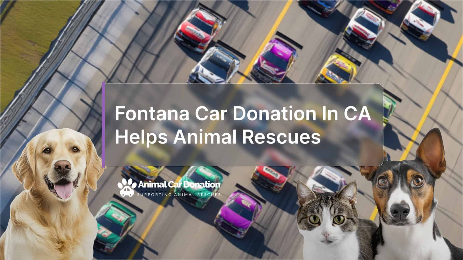 Fontana Car Donation Helps No-Kill Animal Rescue Programs