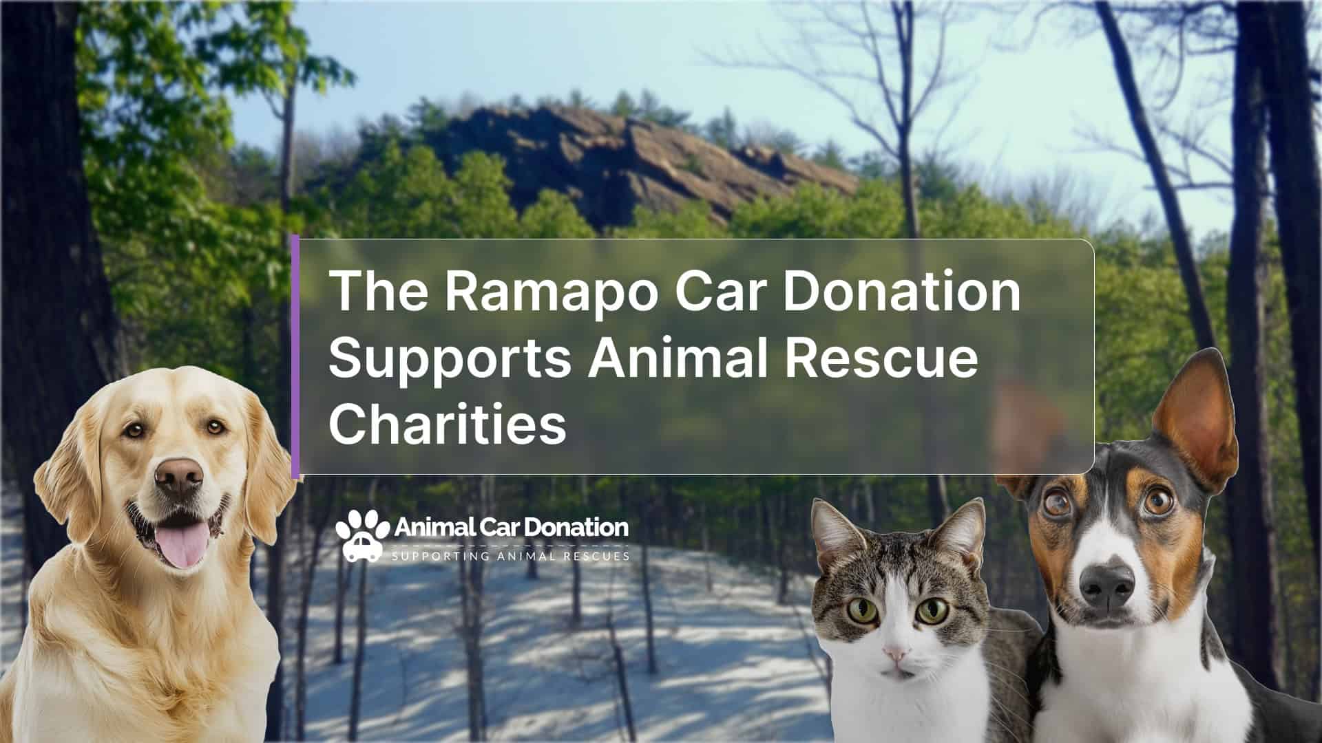 Donate A Car In Ramapo To Benefit NY Rescues | Animal Car Donation