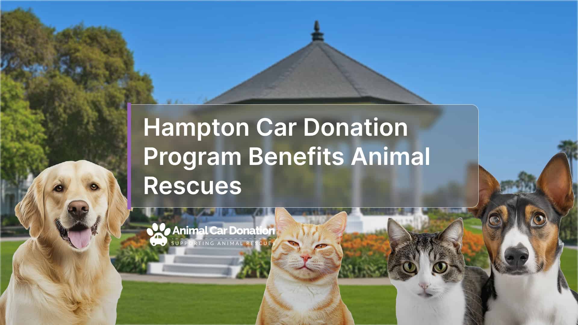 Hampton Car Donation In VA Program Benefits Animal Rescues