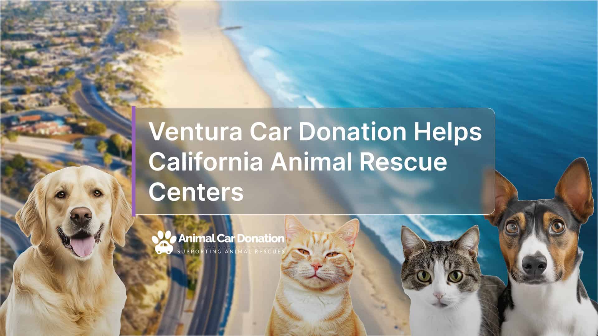 Ventura Car Donation Helps California Rescue Animal Centers