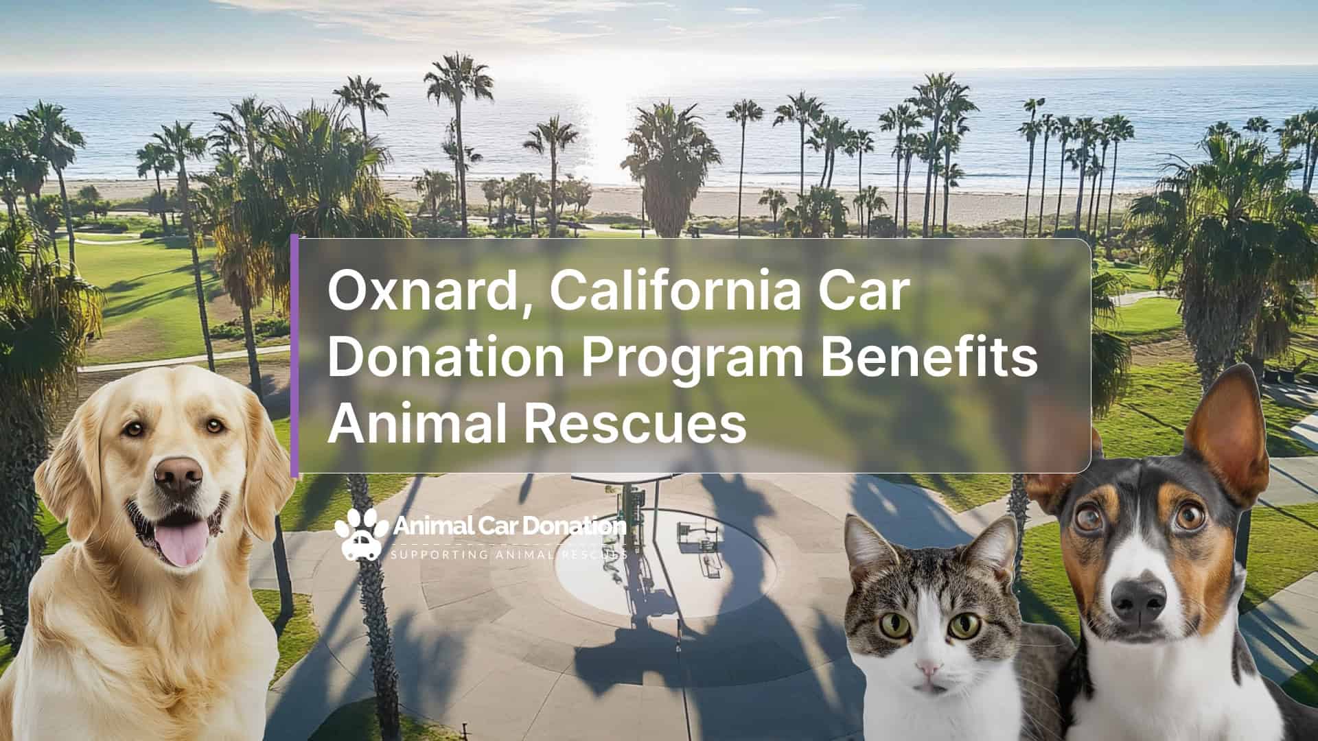 Oxnard Car Donation Benefits California Animal Rescue Programs