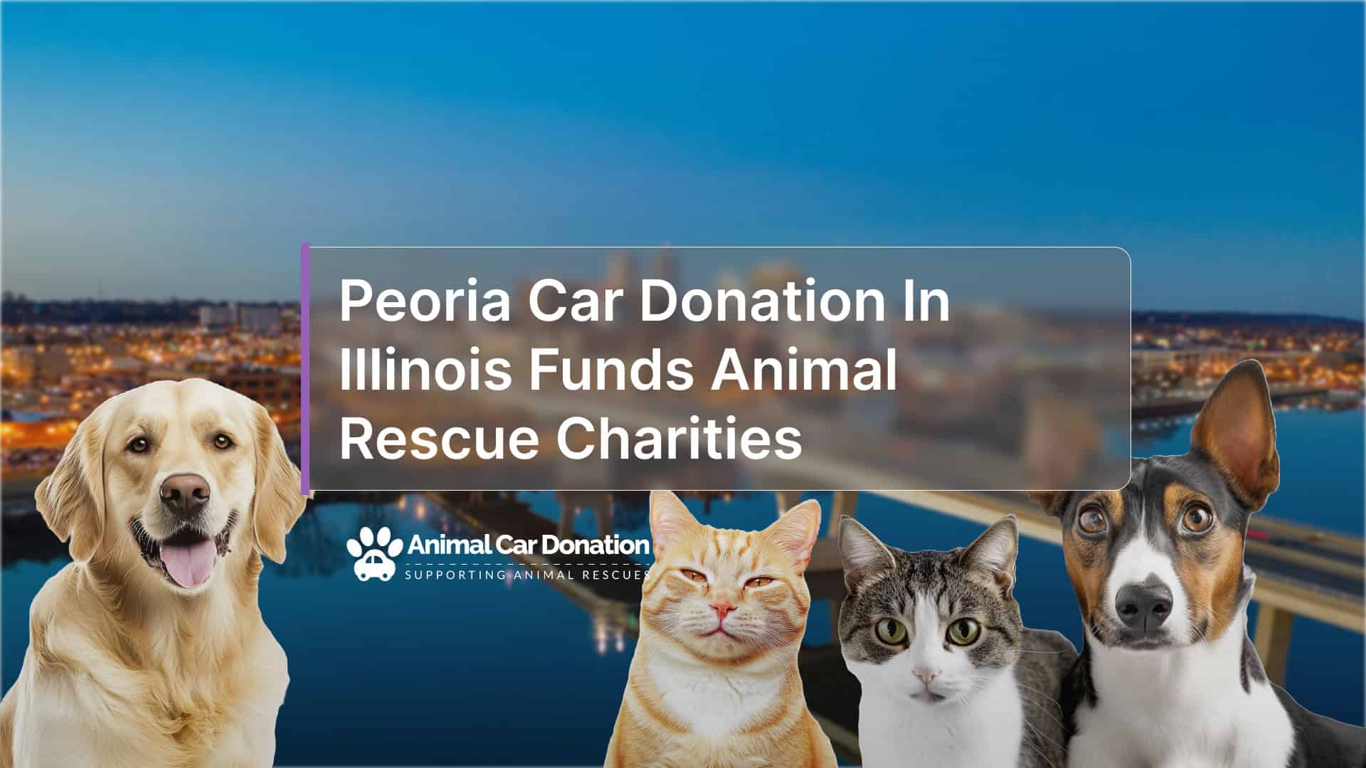 Peoria Car Donation In Illinois Funds Animal Rescue Charity