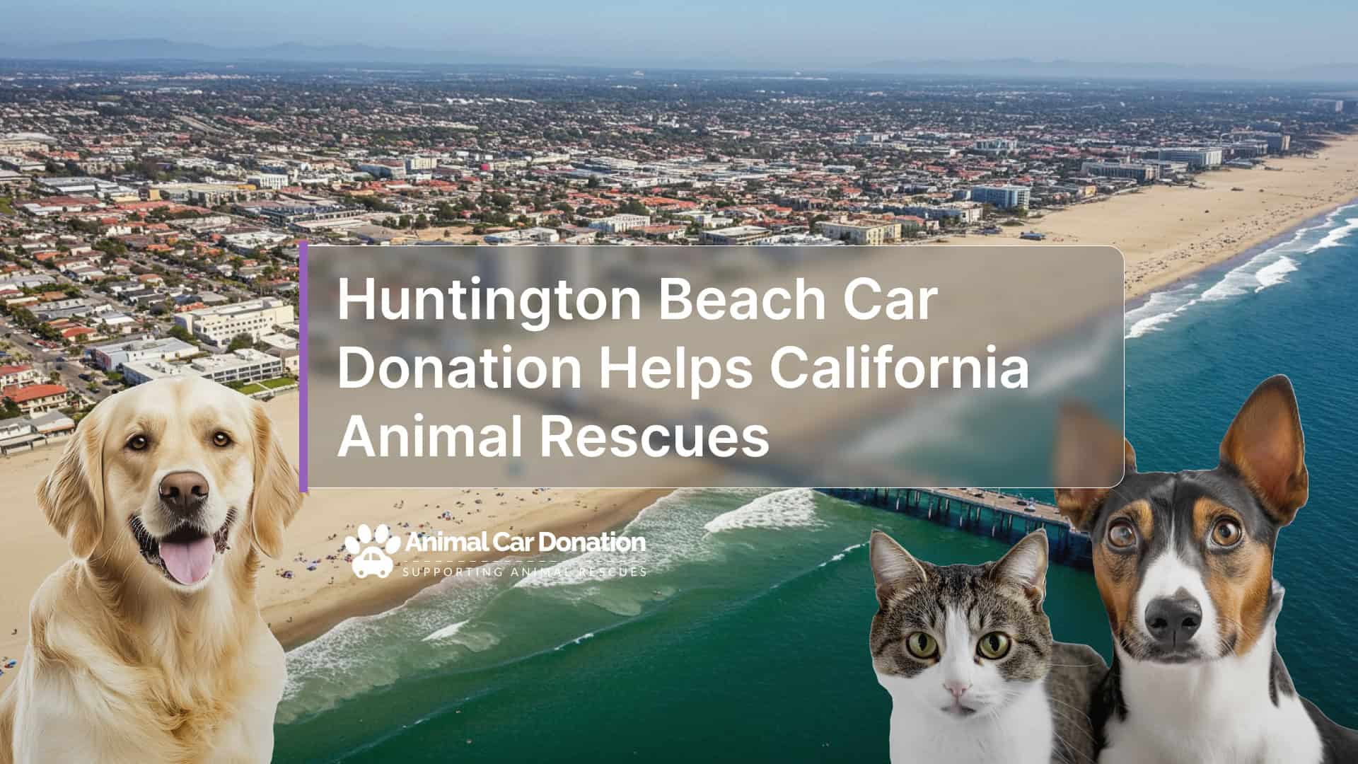 Huntington Beach Car Donation Helps California Animal Rescues