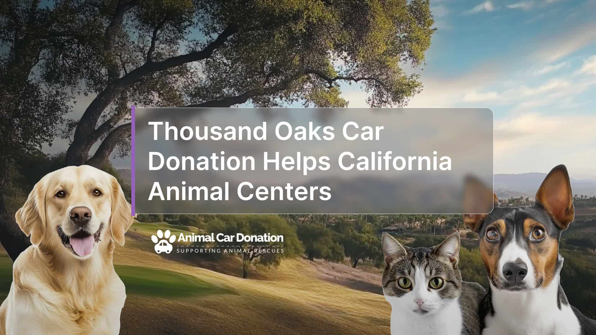 Thousand Oaks Car Donation Helps California Animal Rescue Centers