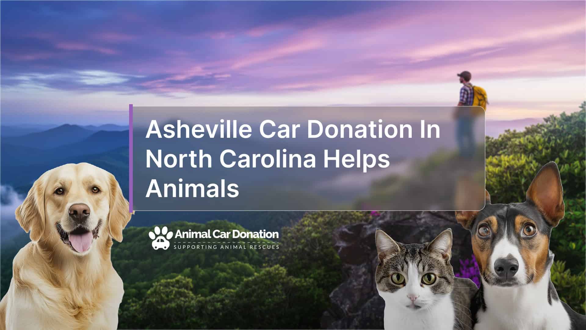 Asheville Car Donation In North Carolina Funds Animal Rescue