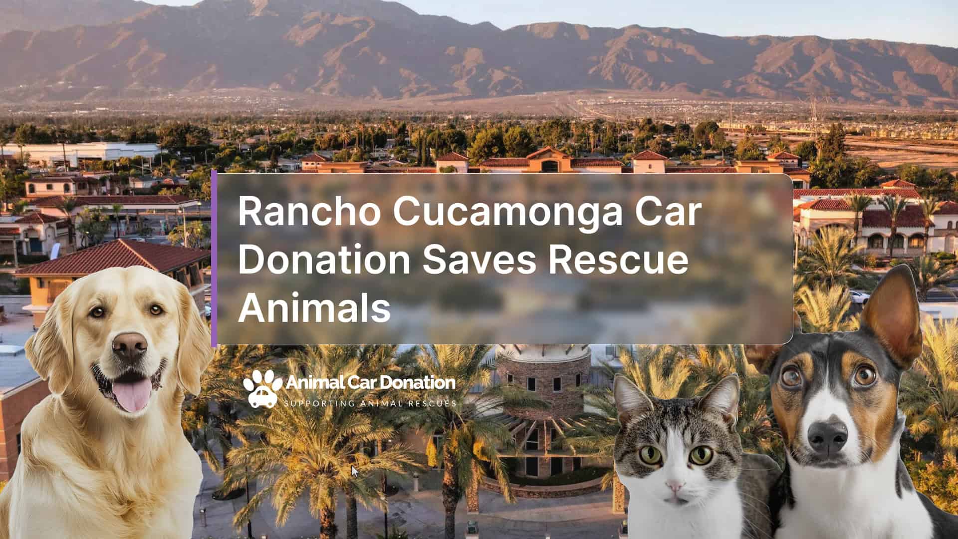 Rancho Cucamonga Car Donation Saves Rescue Animals