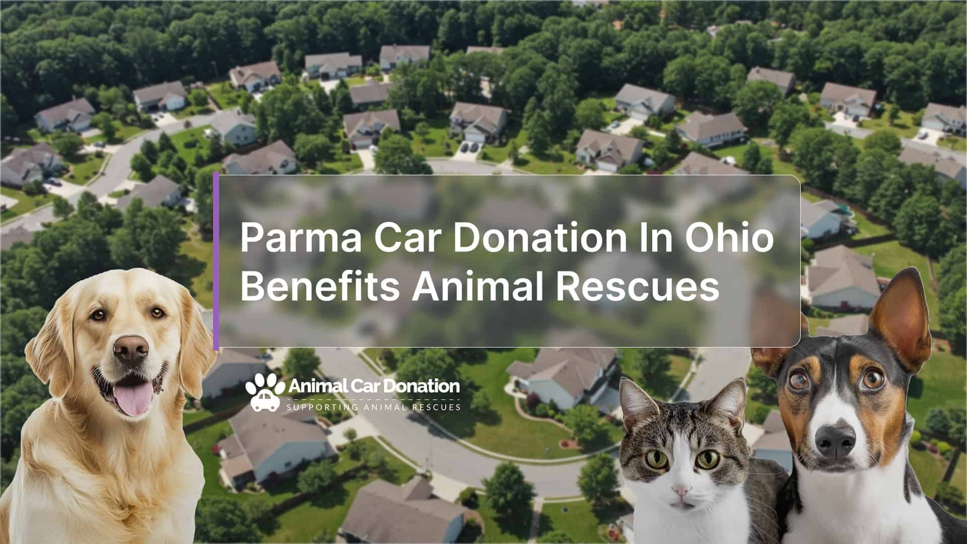 Parma Car Donation In Ohio Benefits Animal Rescues