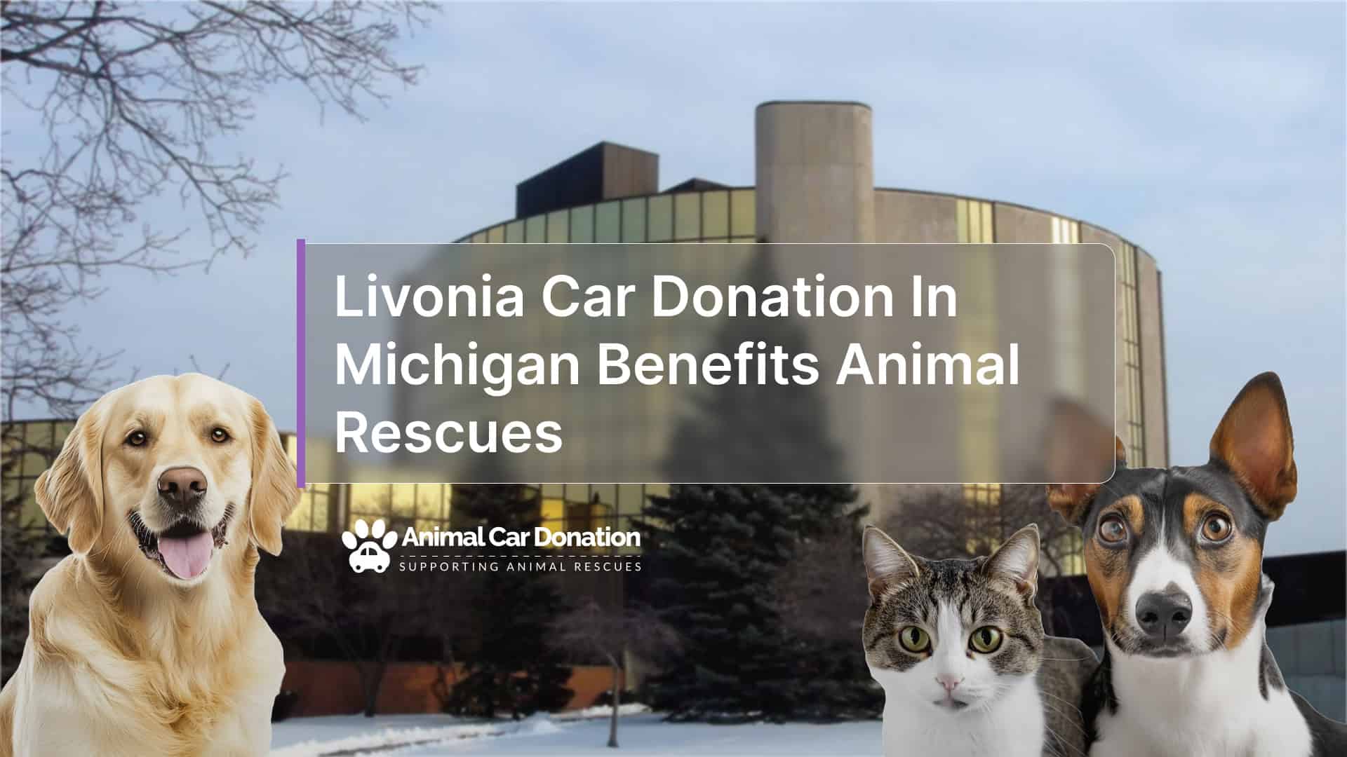 Livonia Car Donation In Michigan Benefits Animal Rescues - Animal Car ...