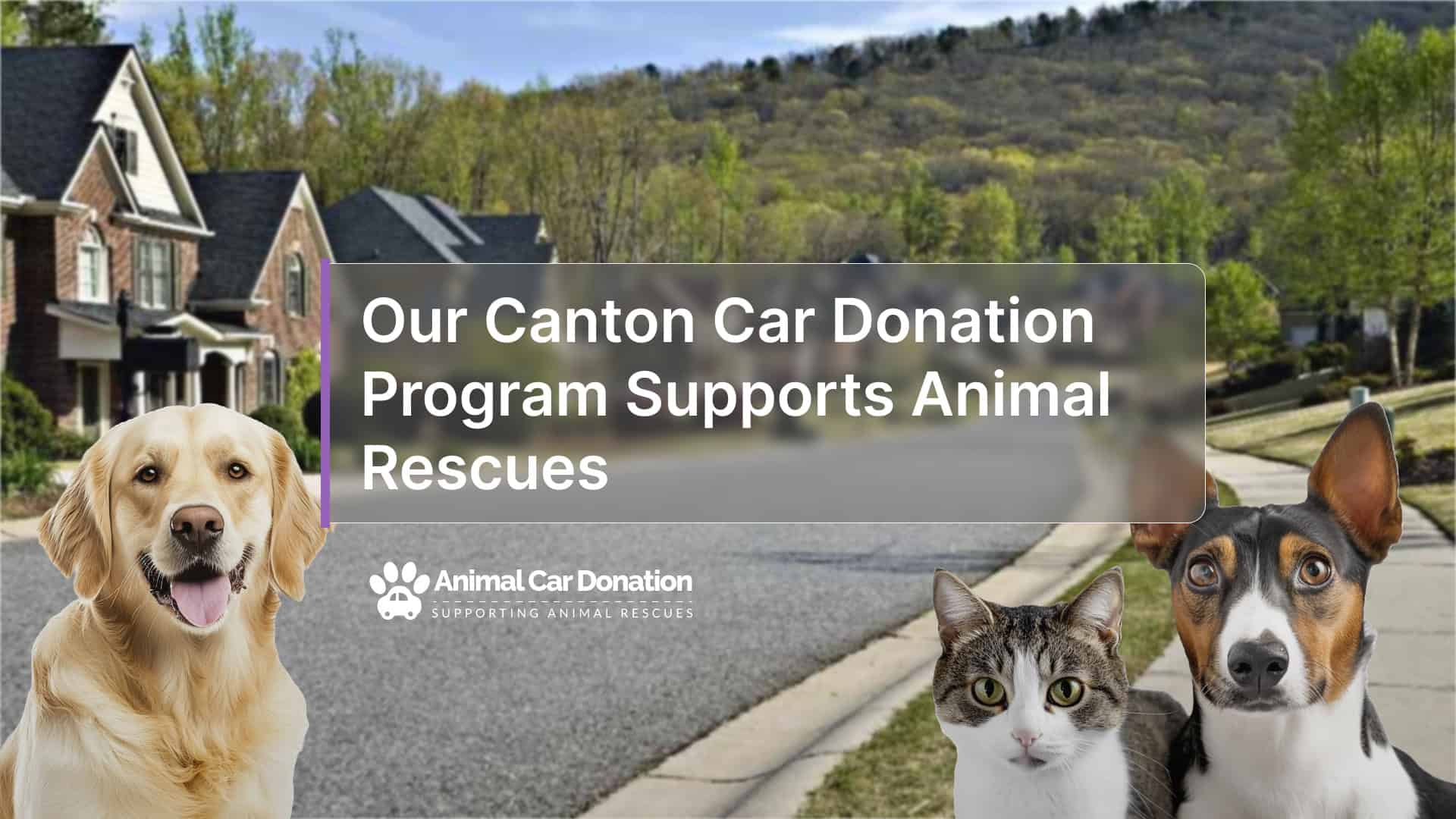 Our Canton Car Donation Program Supports Animal Rescues