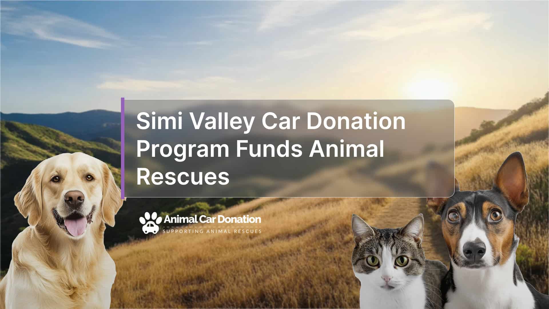 Simi Valley Car Donation Program Funds Animal Rescues