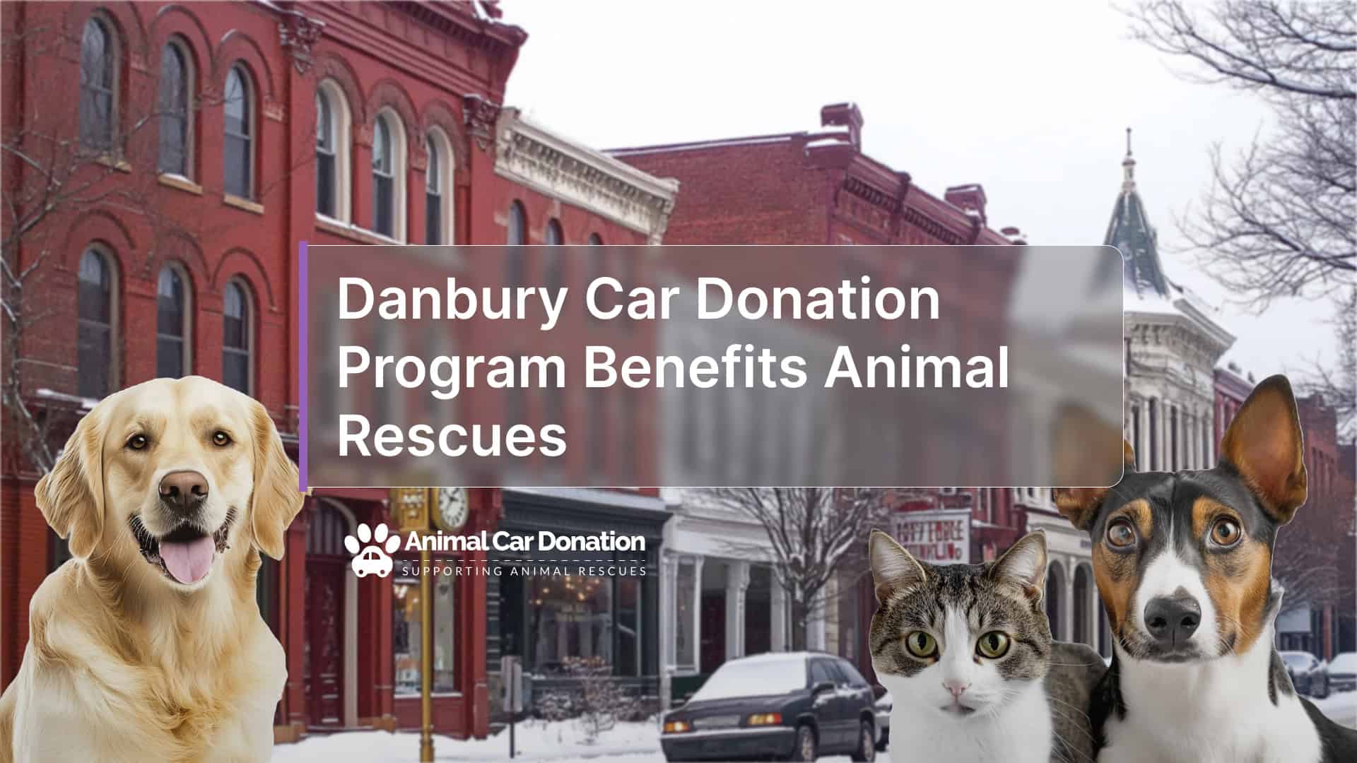 Danbury Car Donation Program Benefits Animal Rescues