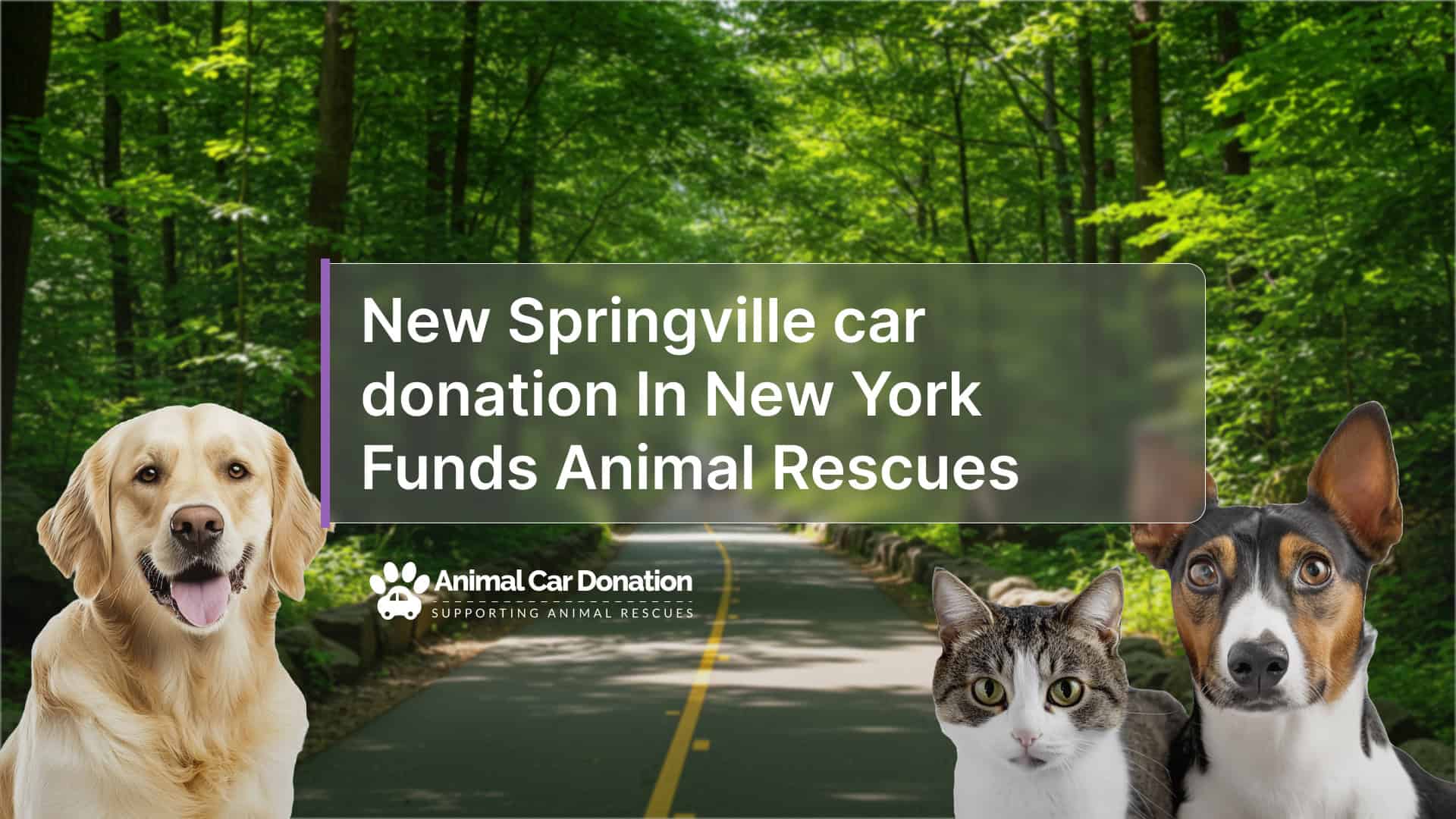 New Springville car donation In New York Funds Animal Rescue