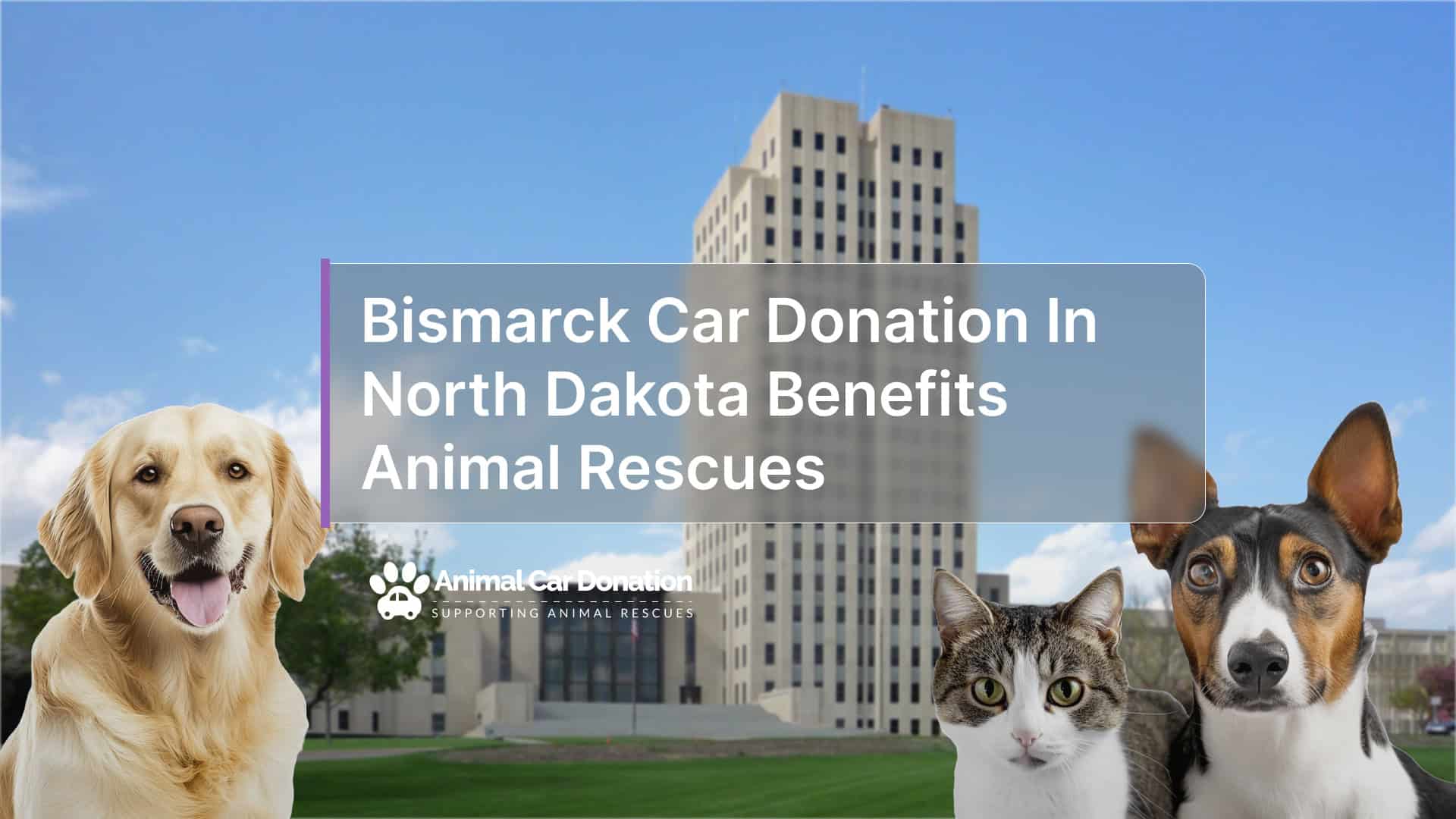 Bismarck Car Donation In North Dakota Benefits Animal Rescues